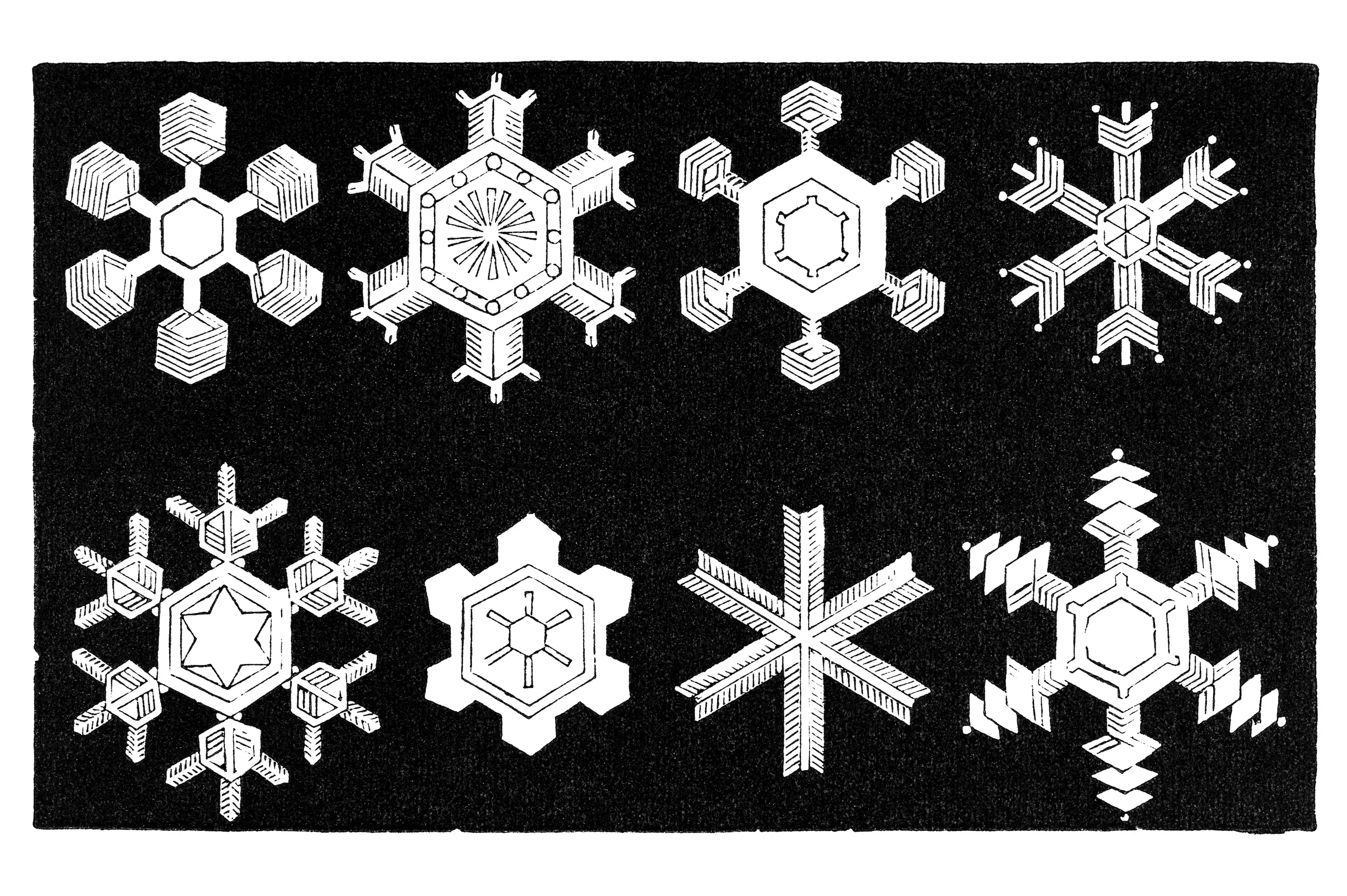 La forma d'un floc de neu depèn de la temperatura a la qual es va formar.