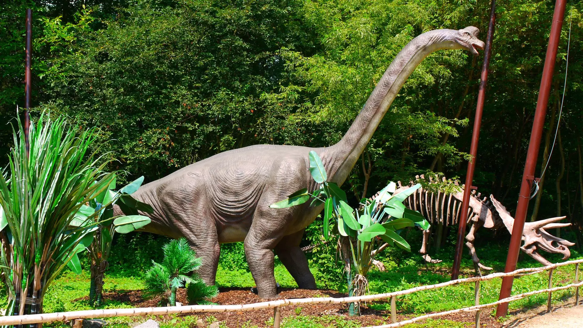 Brachiosaurus που εκτίθεται στην έκθεση Jurassic.