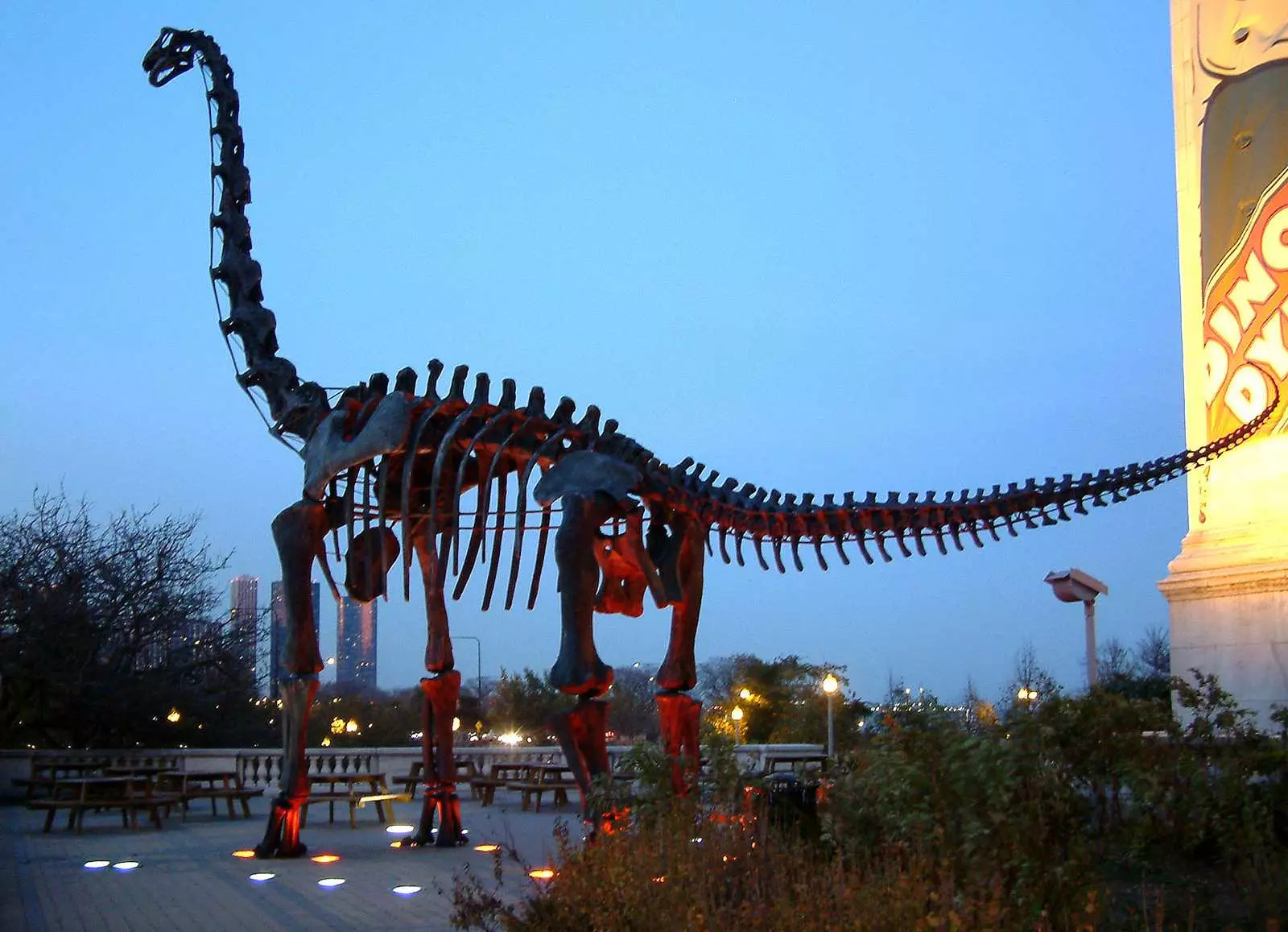 Scheletro di Brachiosaurus in mostra all'esterno di fronte a un museo di Chicago.