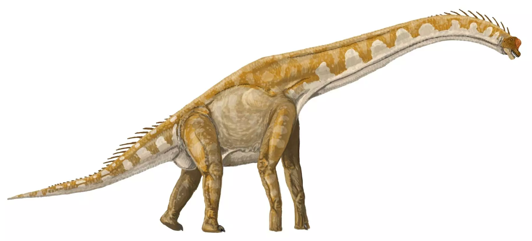 Digitale weergawe van Giraffatitan.