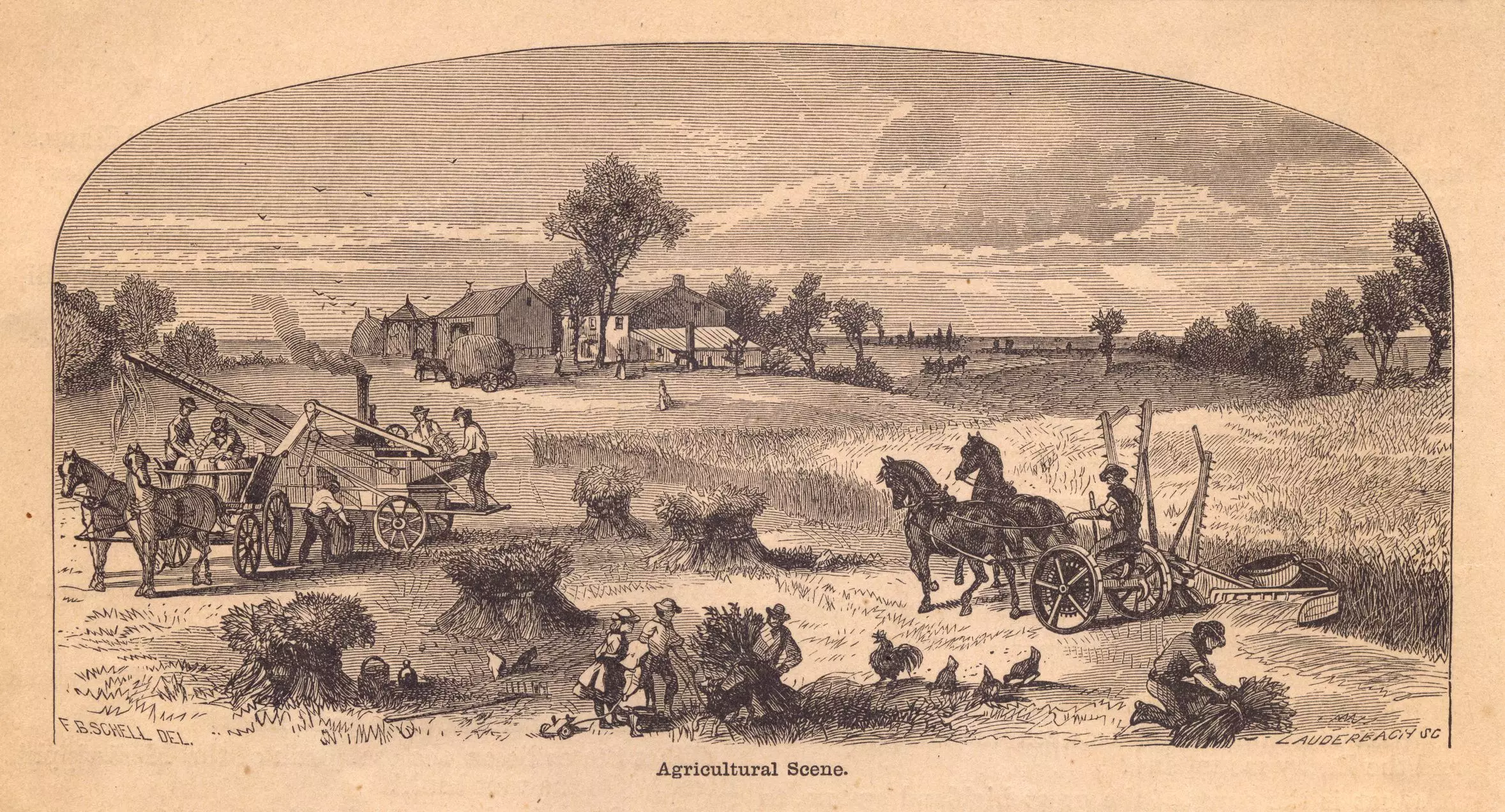 Gammel, sort og hvid illustration af landbrugsscene, fra 1800-tallet