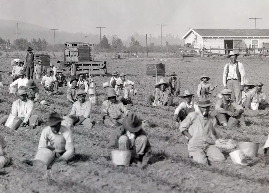 Maatalous San Fernandon laaksossa, n. 1920