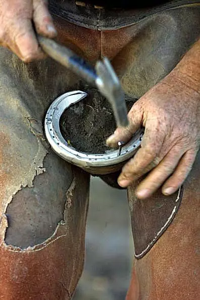 Zu den Artefakten von domestizierten Pferden gehören Schuhe, Nägel und Hämmer.