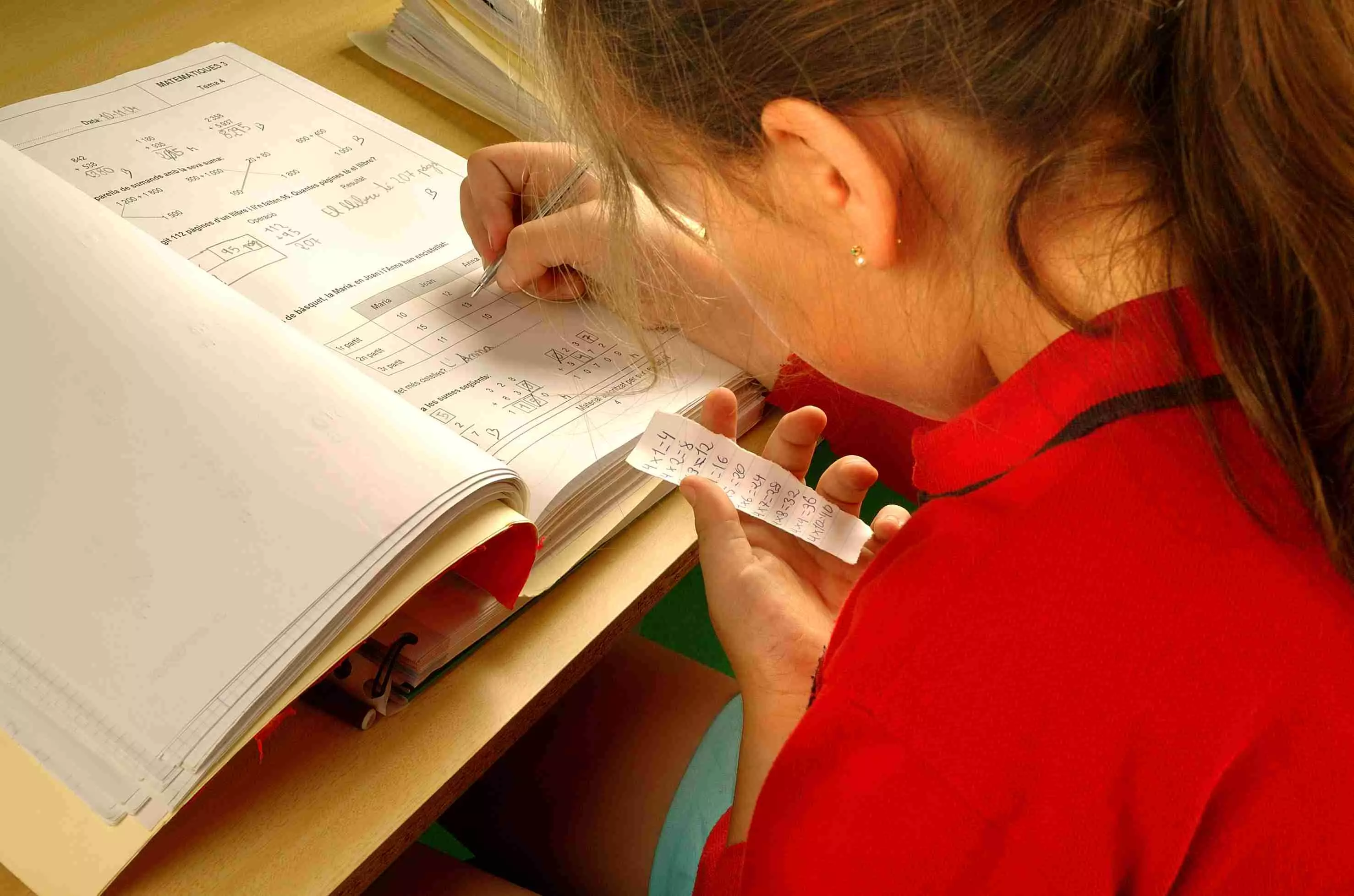 Jovem estudante fazendo um exame na escola, formiga olhando para uma nota de inspiração