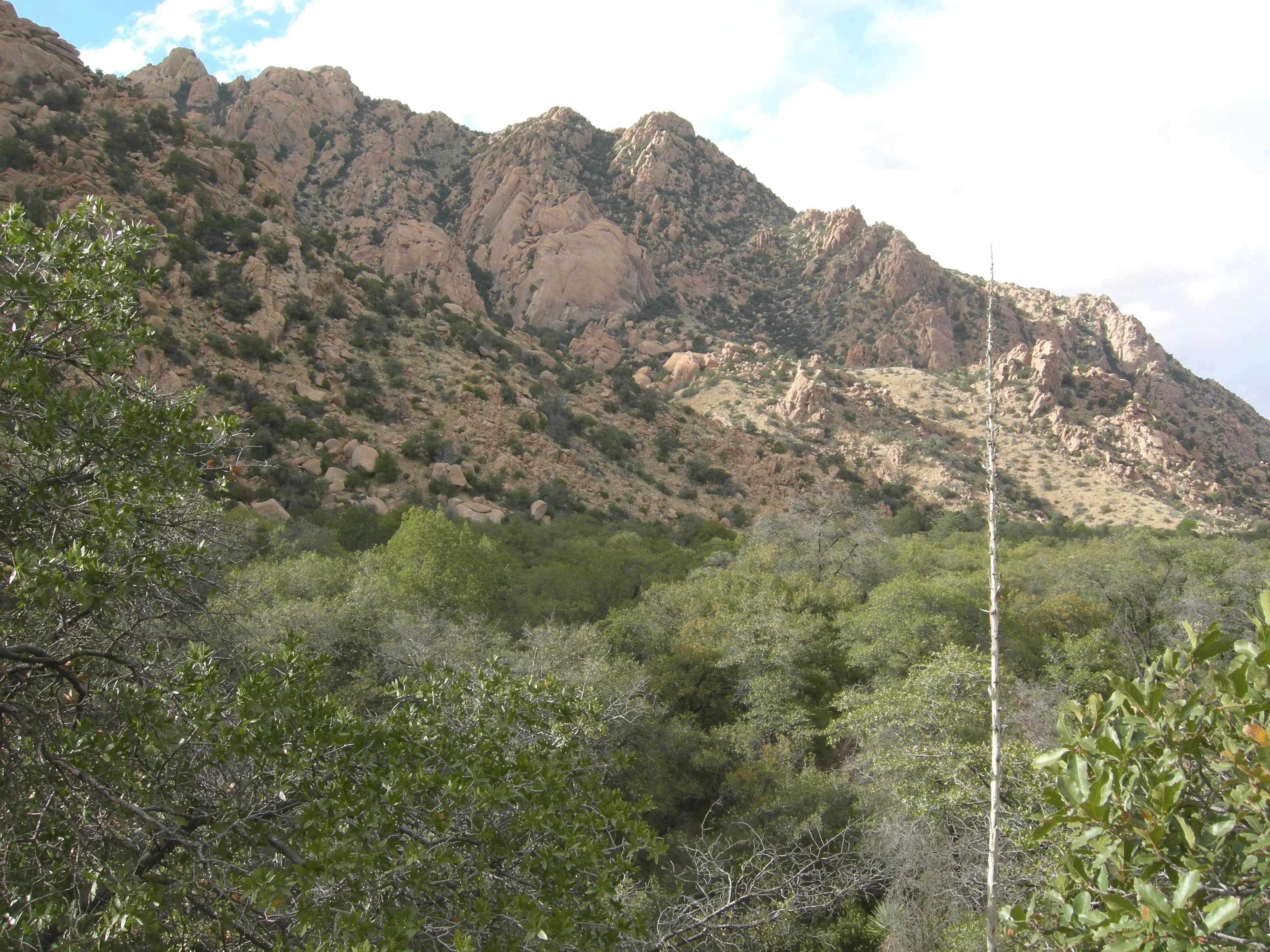 Cochise's Eastern Stronghold, Dragoon Mountains, Southeastern Arizona.