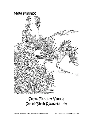 Розмальовка птахів і квітів штату Нью-Мексико