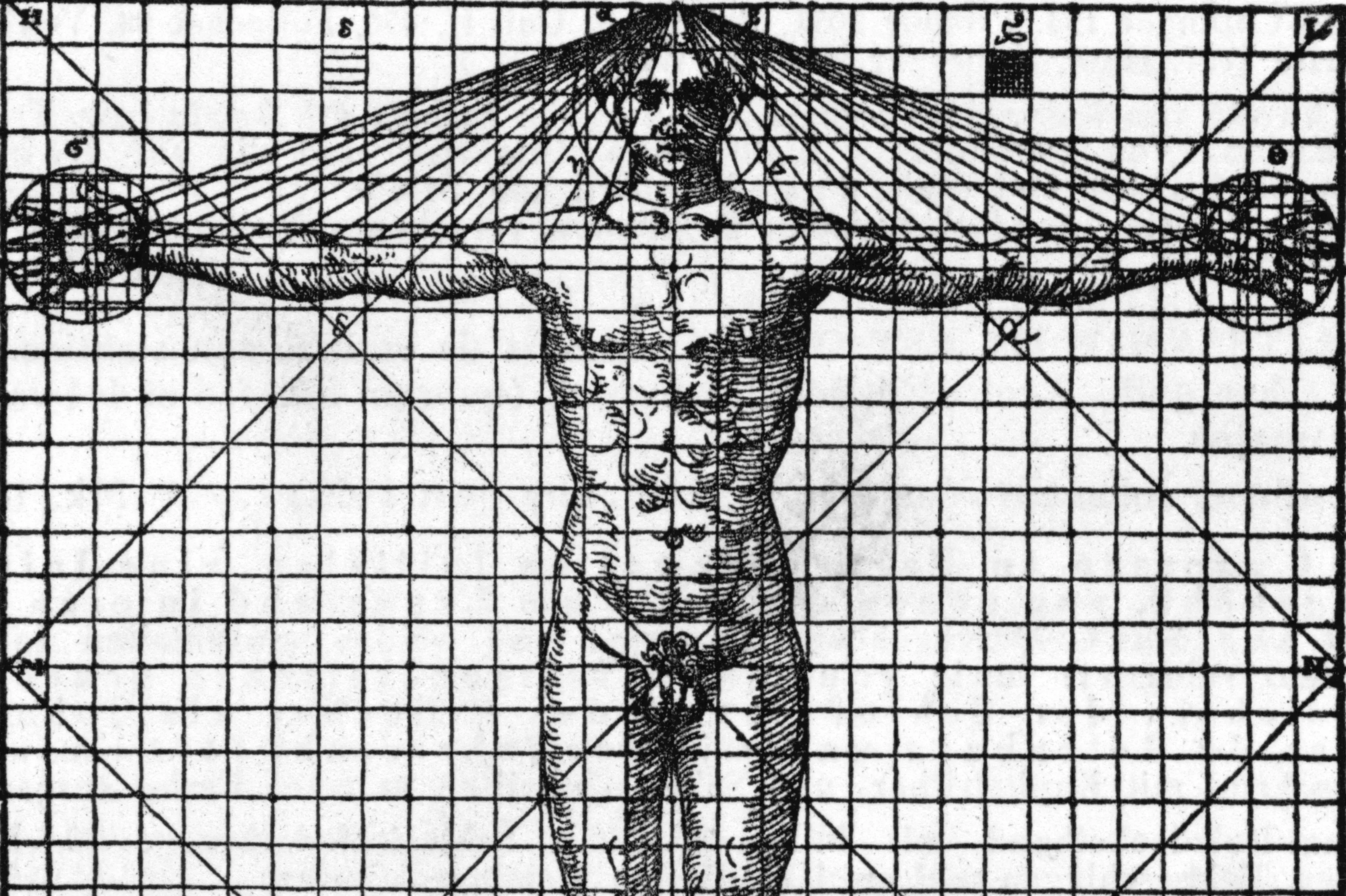 Fekete-fehér illusztrációja az emberi ember frontjának egy grafikonon, szimmetriát és arányt mutató vonalakkal