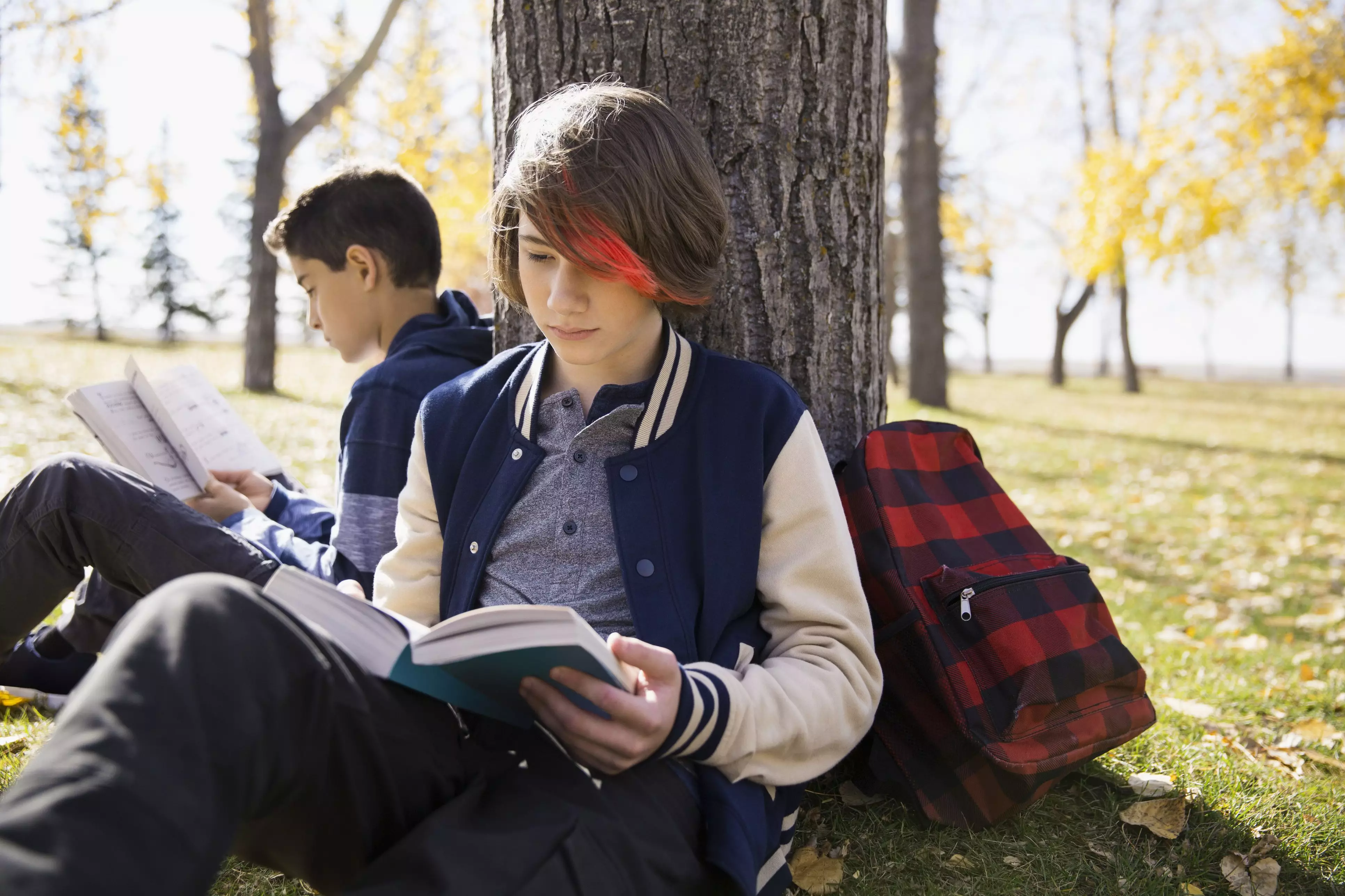 Băieți preadolescenti citind cărți sprijinindu-se pe trunchiul copacului în parcul de toamnă