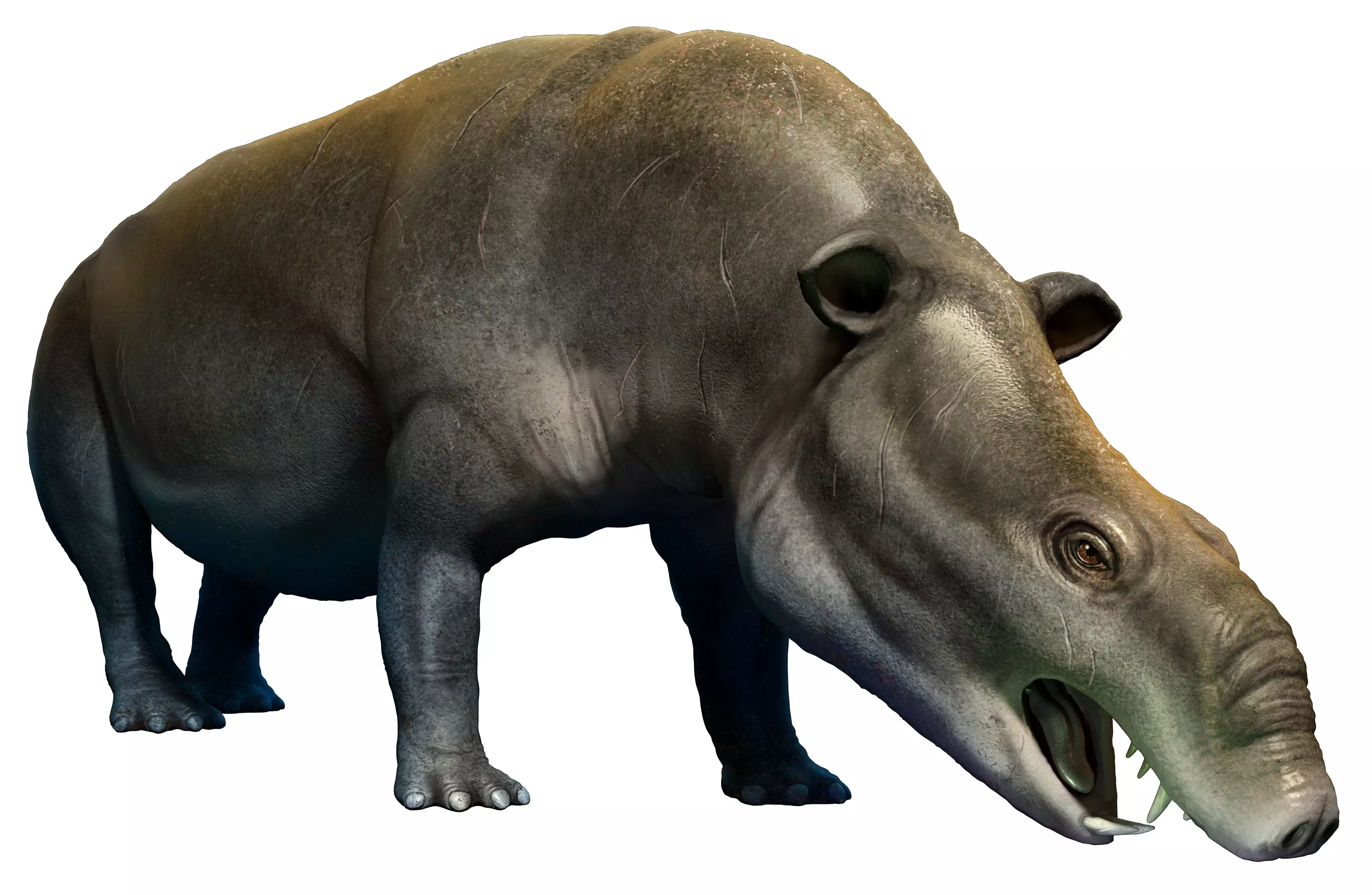 Moeritherium graafinen renderöinti