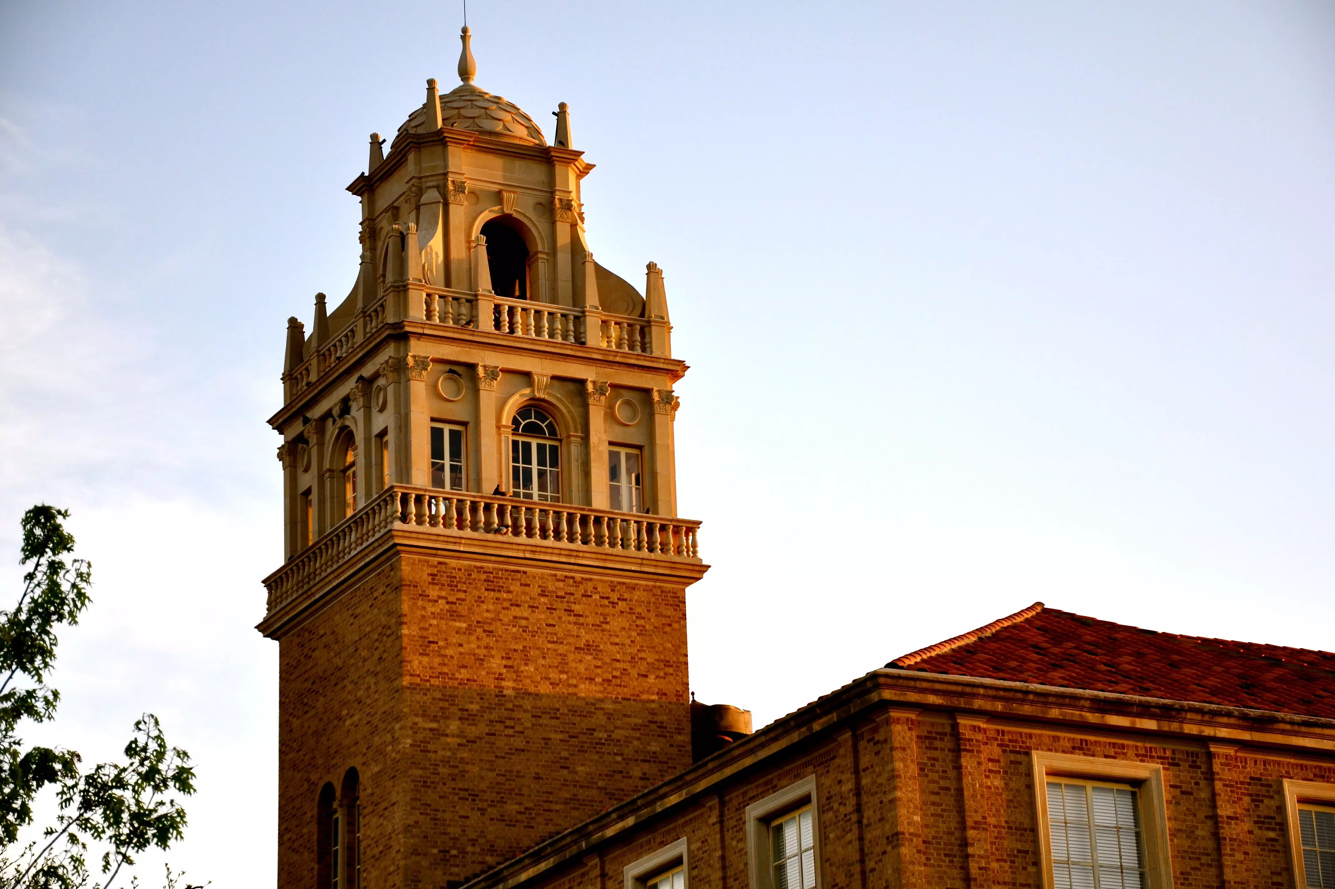 Texas Tech Universitas