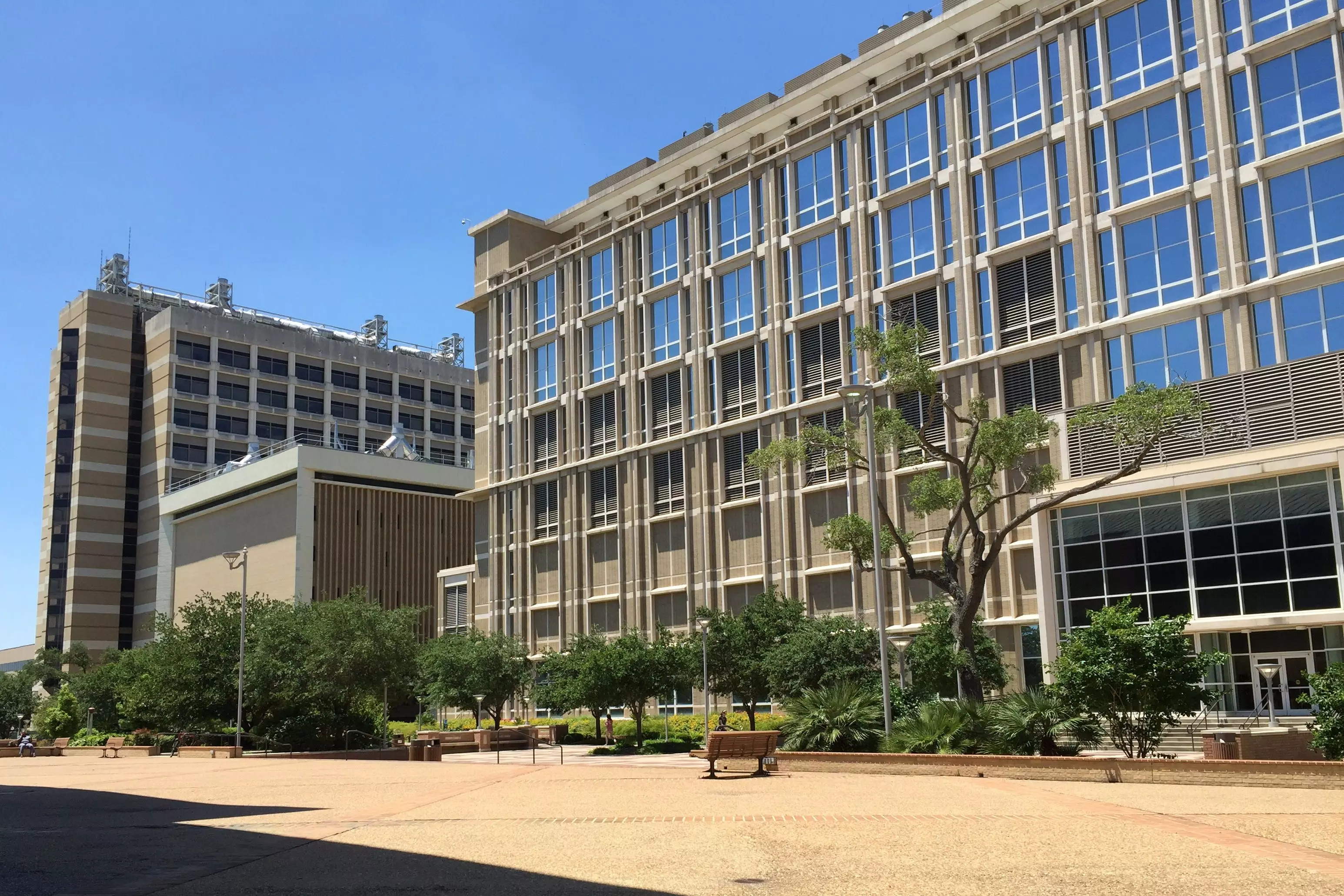 Rechèch Bilding sou lakou lekòl la UT Medical Branch nan Galveston