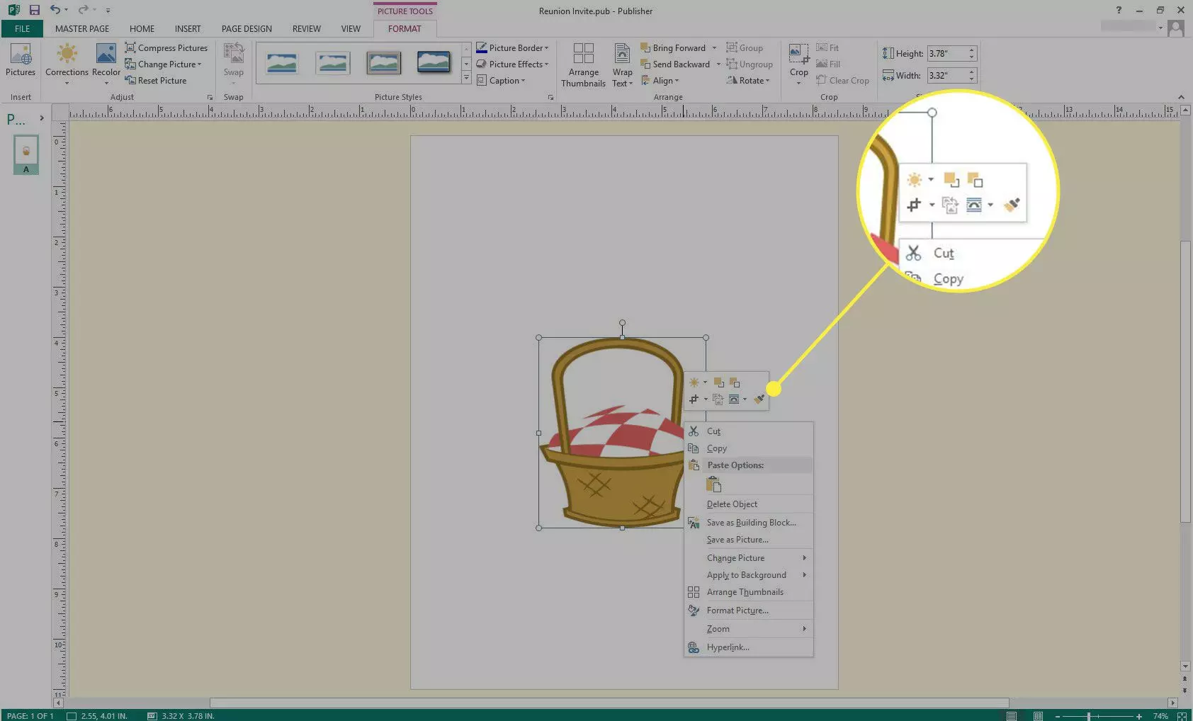 E Screenshot vu Microsoft Publisher mat de Bildoptiounen markéiert