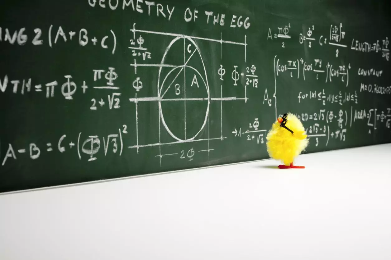 Unha galiña mirando as ecuacións matemáticas nun encerado.