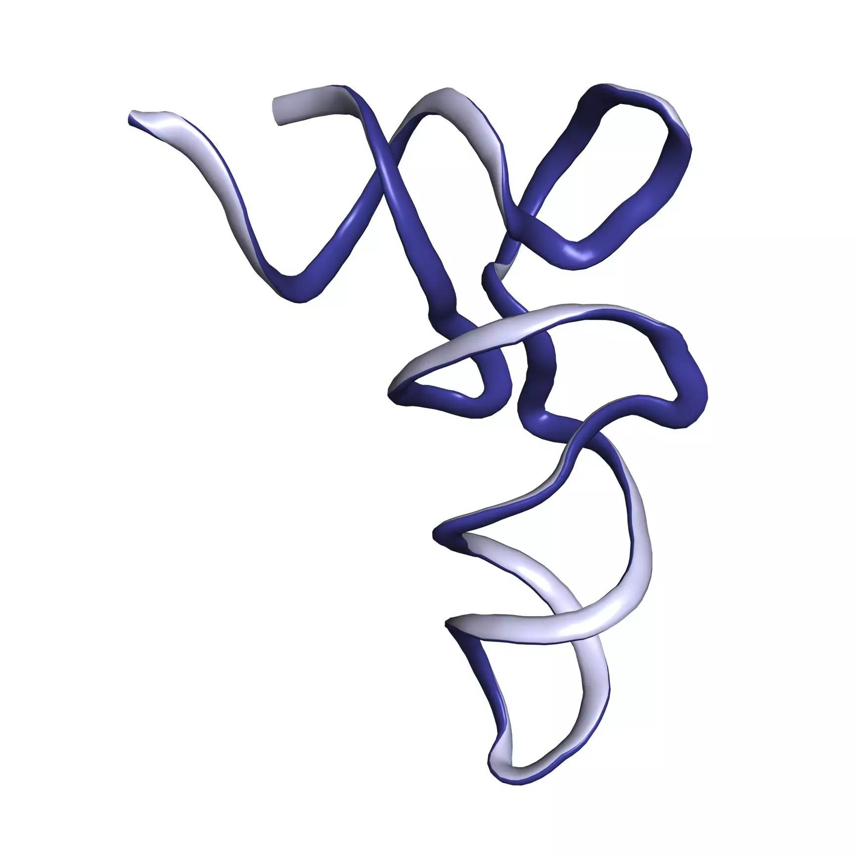 전이 RNA의 분자 모델