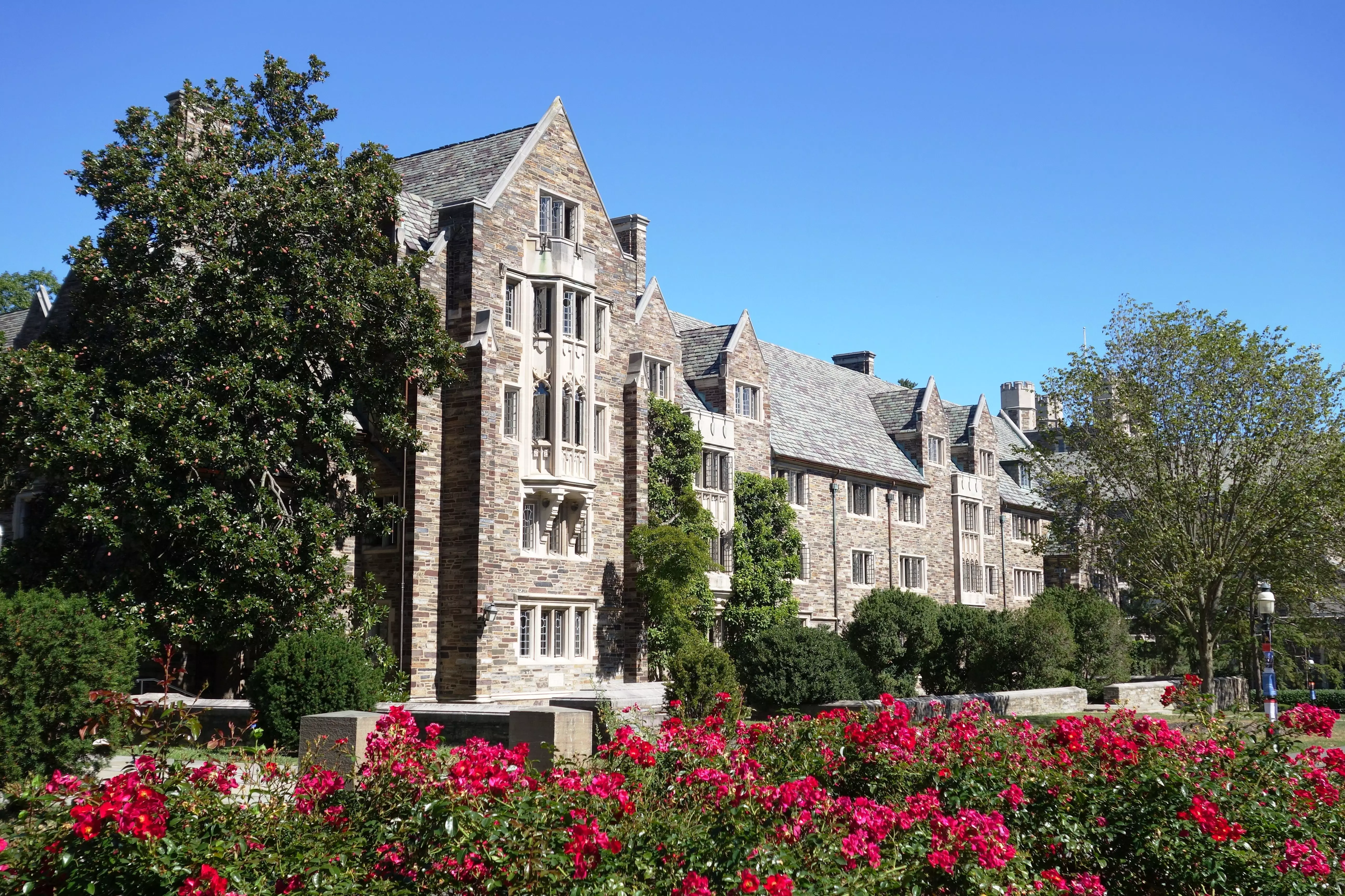 Università ta’ Princeton