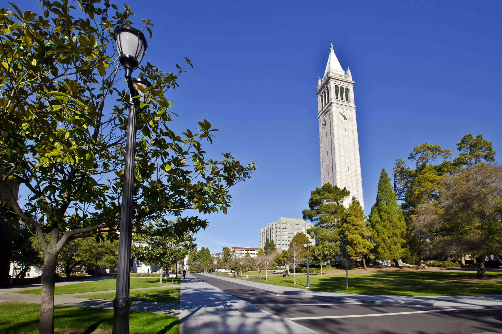 Università ta’ Kalifornja Berkeley