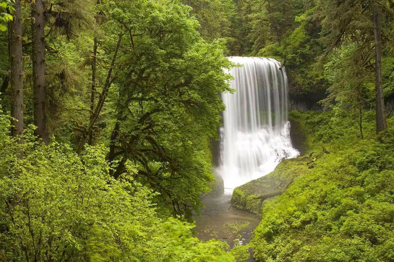 Cascada Middle North Falls