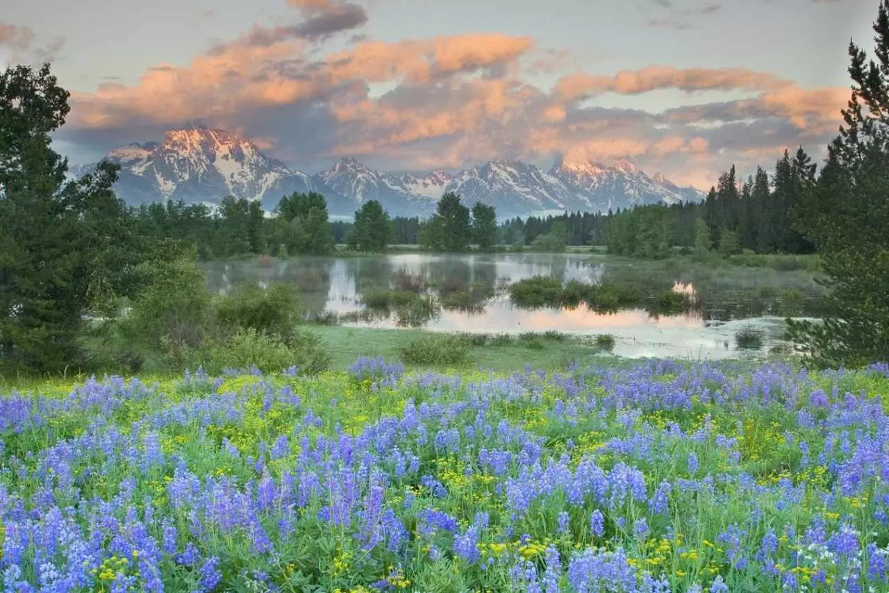 Parike ya Grand Teton