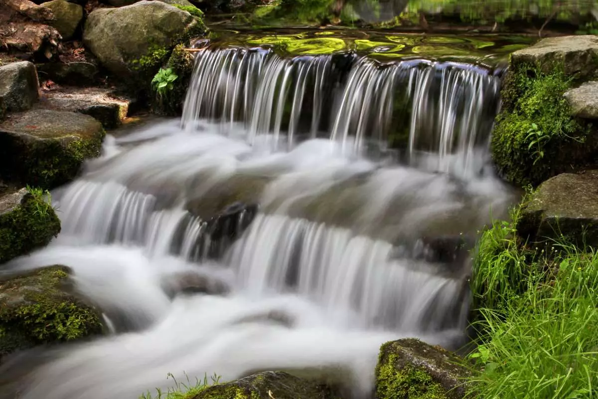 Ingxangxasi yaseFern Spring