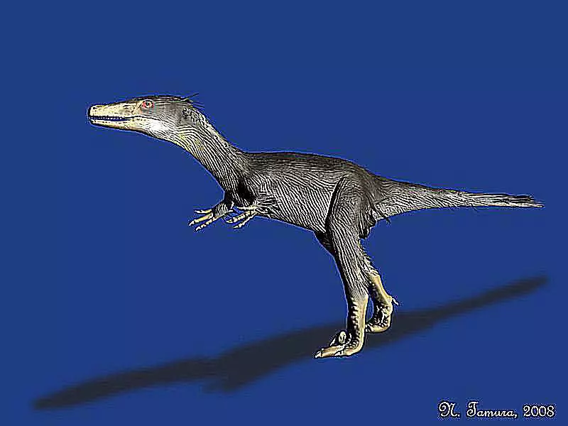 austroraptor