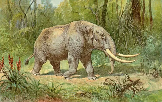 mastodont