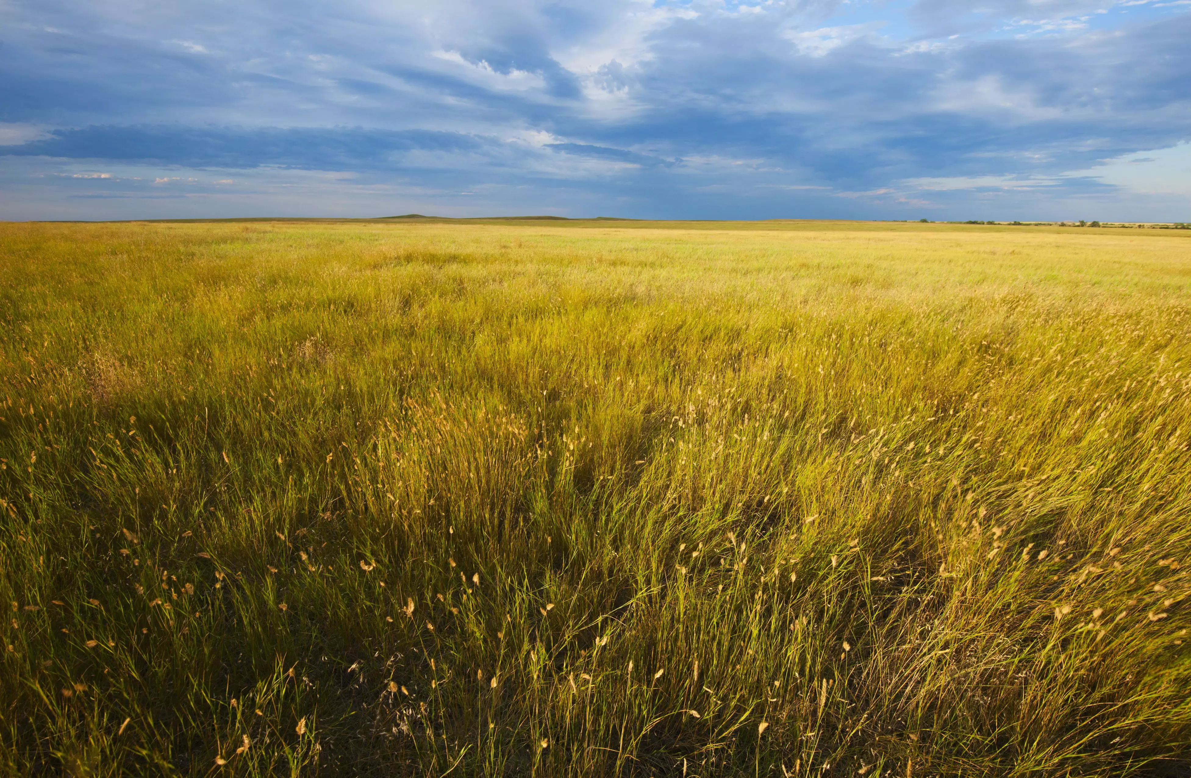 Buffalo Gap National Grasslands