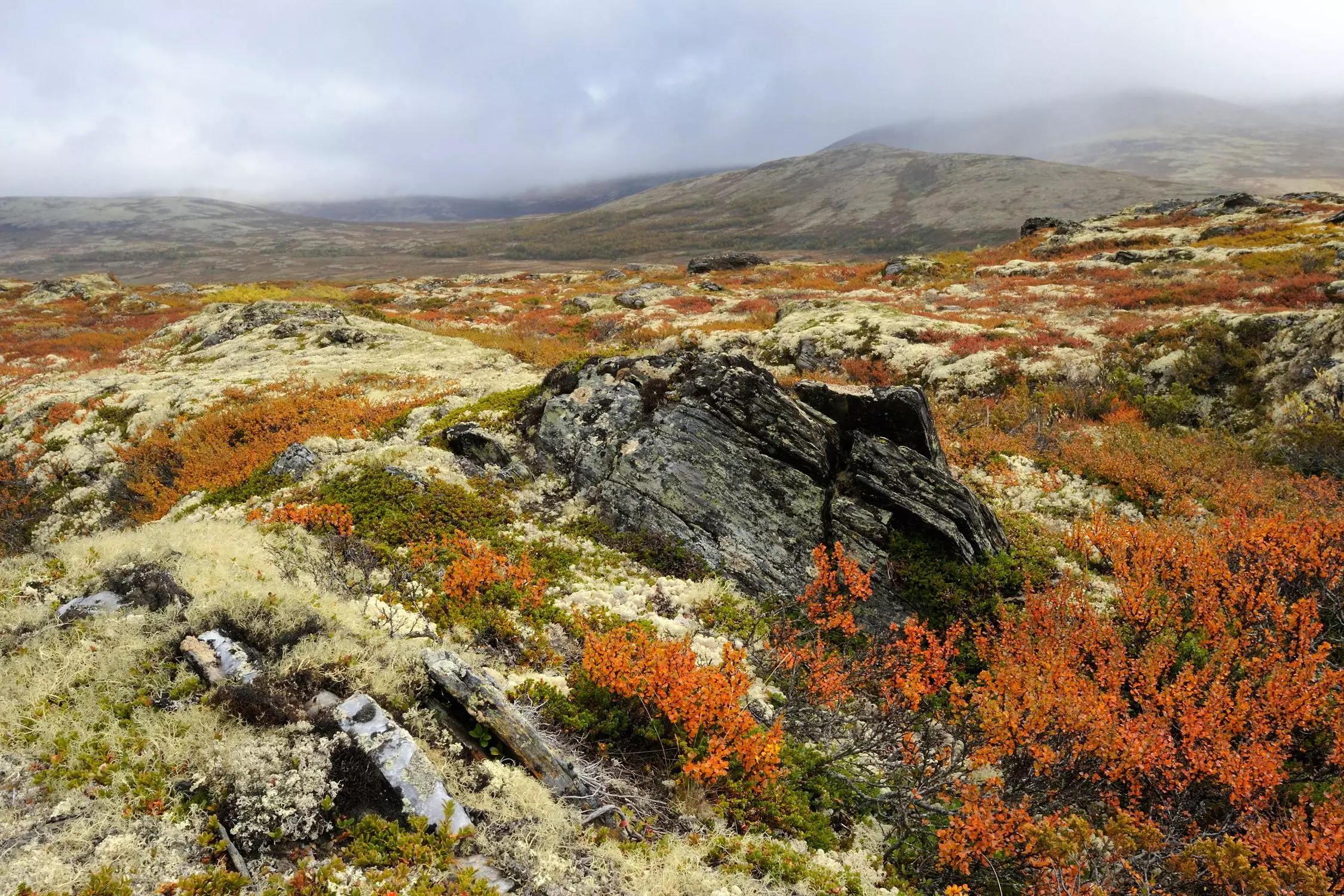 Tírdhreach tundra an fhómhair san Iorua, san Eoraip.