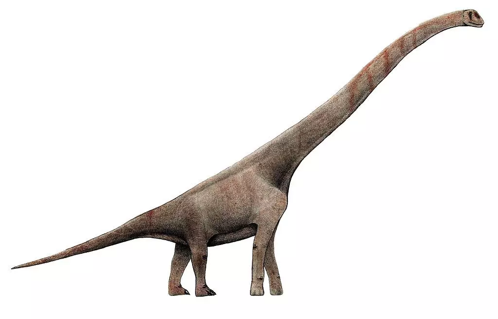 sauroposeydon