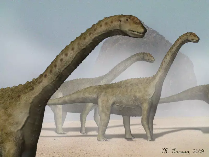 camarasaurus