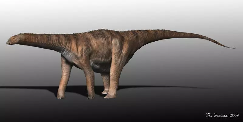 cetiosaurus