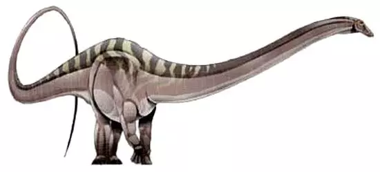 dyslocosaurus