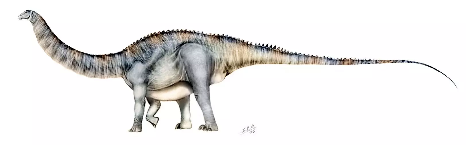 eobrontosaurus