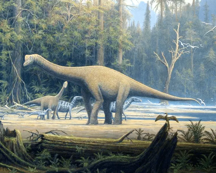 europasaurus