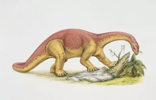 kotasaurus