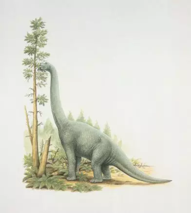 lapparentosaurus