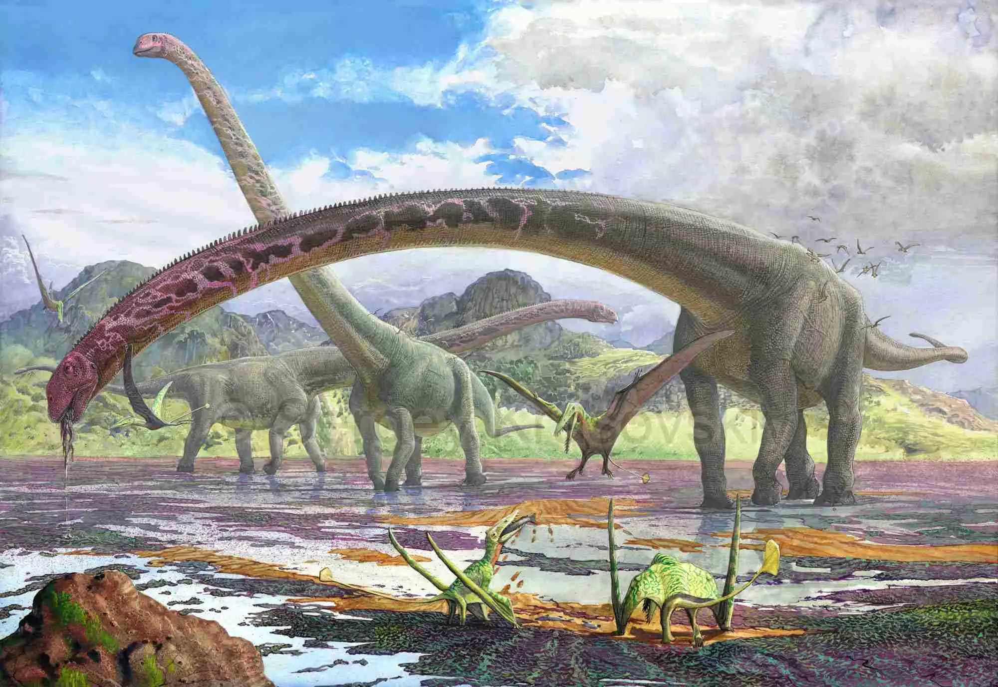 mamenchisaurus