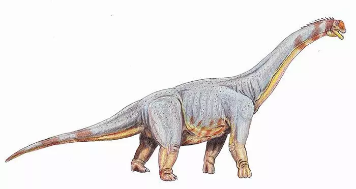 paluxysaurus