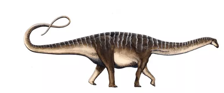 amazonsaurus