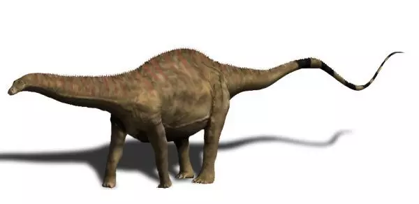 rebbachisaurus