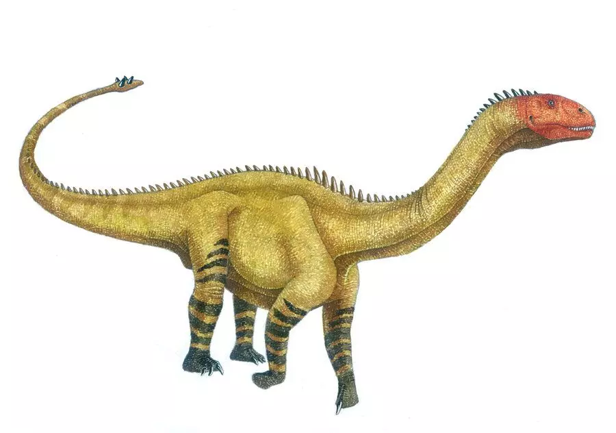 shunosaurus