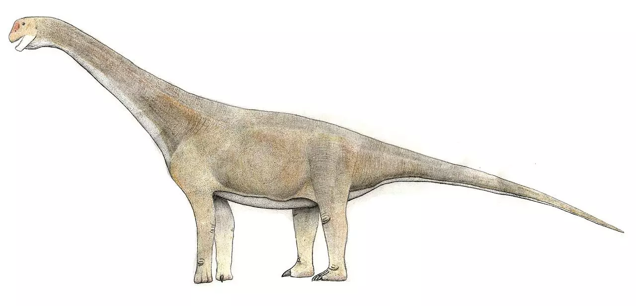 tehuelchesaurus