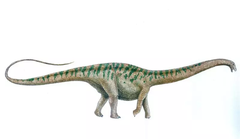 apatosaurus