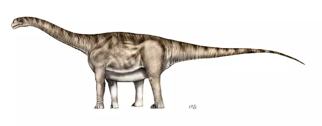 aragosaurus