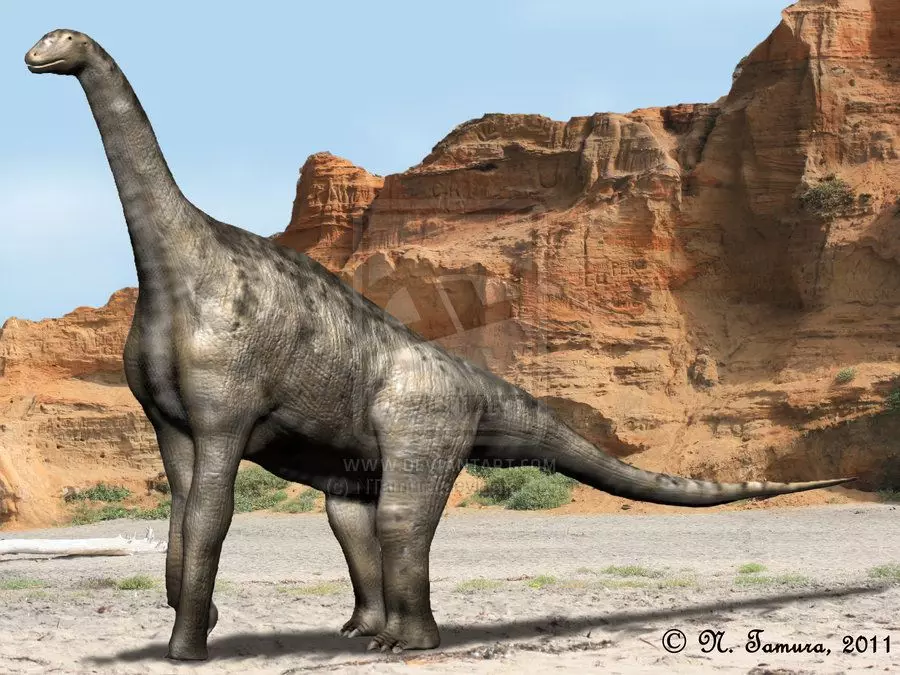 atlasaurus