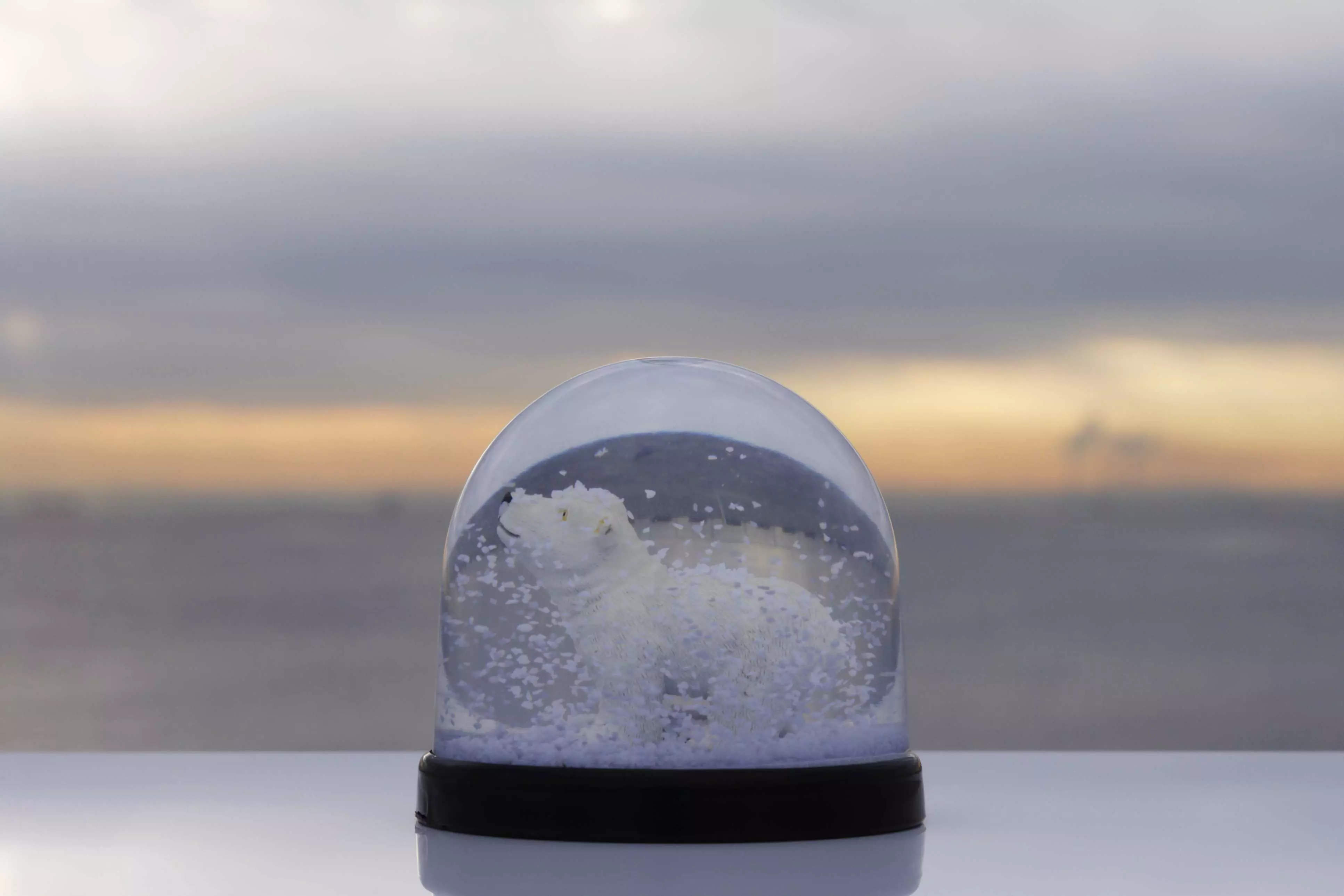 Podrías usar brillantina para una bola de nieve, pero los cristales se verán más realistas.