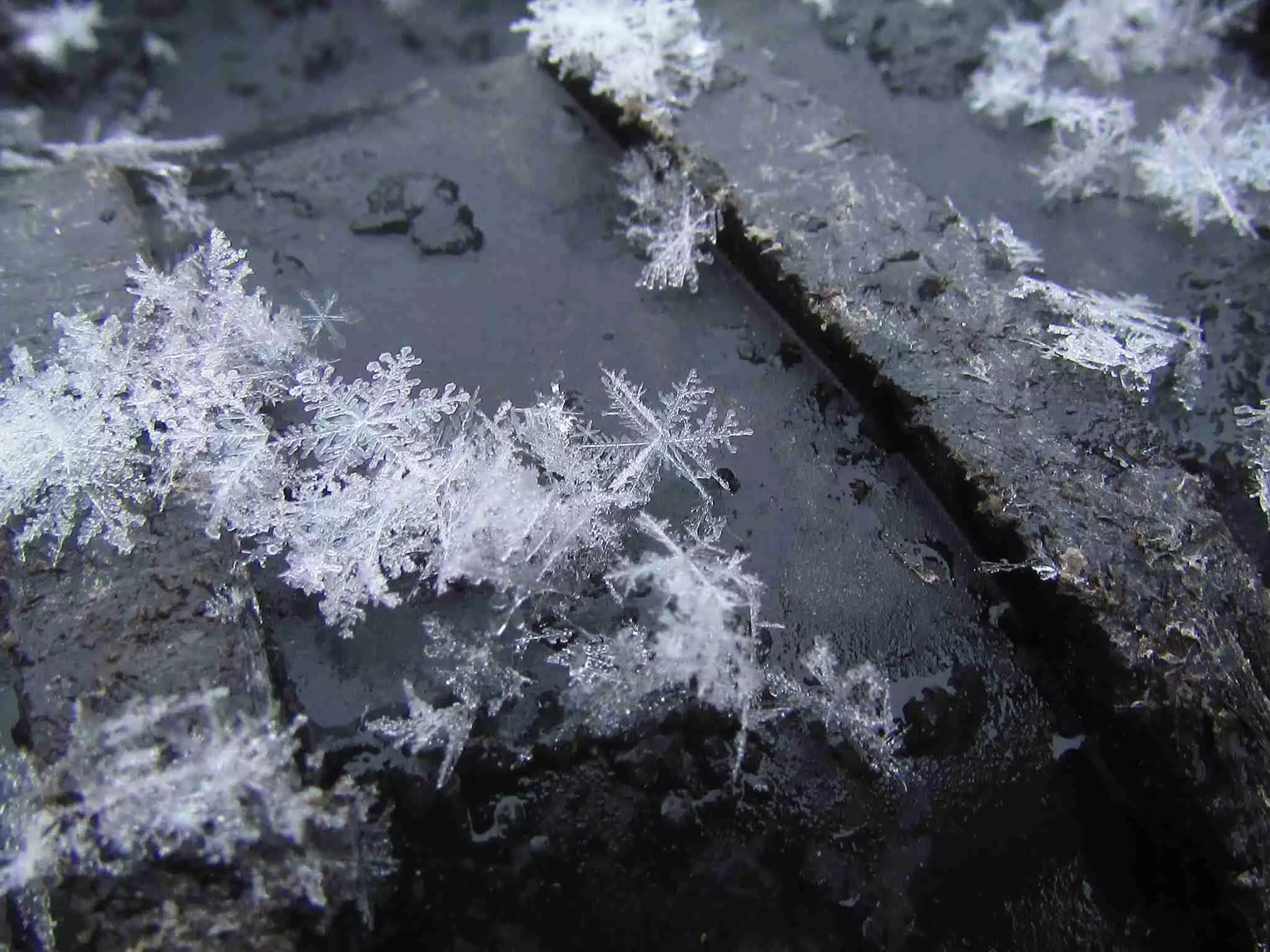Foto close-up kepingan salju