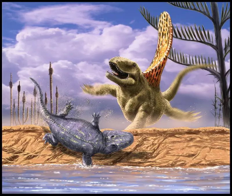 Pelycosaur تصاویر اور پروفائلز 42614_1