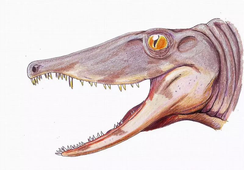 sécodontosaurus