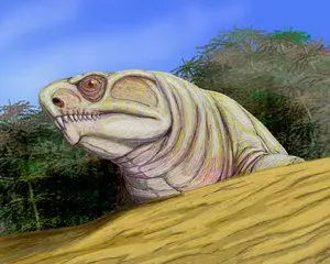 ennatosaurus