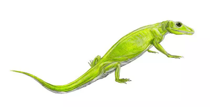 mykterosaurus